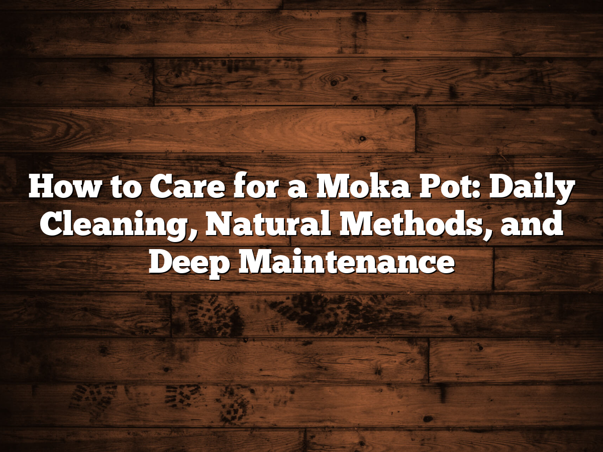 How To Care For A Moka Pot: Daily Cleaning, Natural Methods, And Deep ...