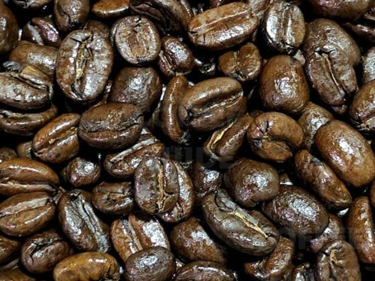 Mocha Coffee Beans: Origins, Flavor Profiles & Brewing Guide