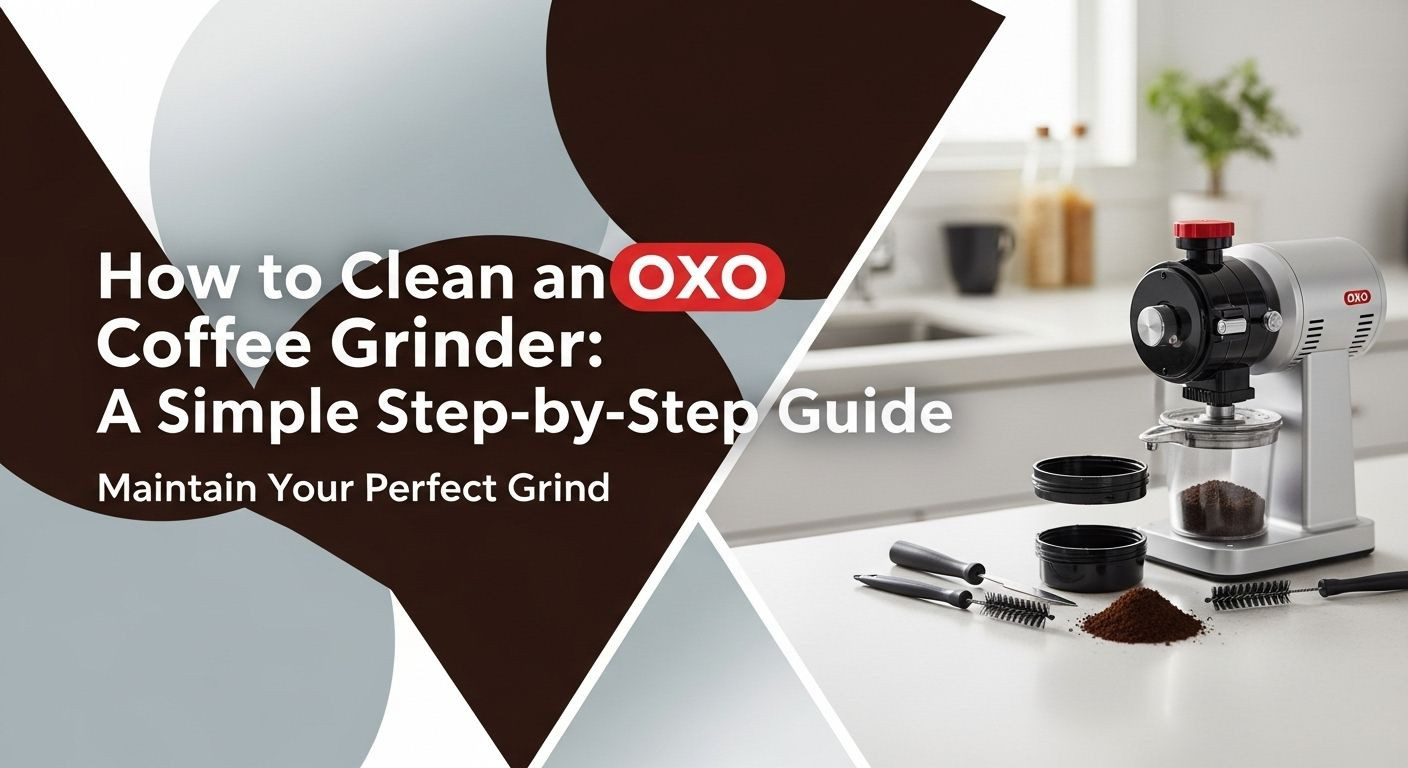 How To Clean An OXO Coffee Grinder: A Simple Step-by-Step Guide